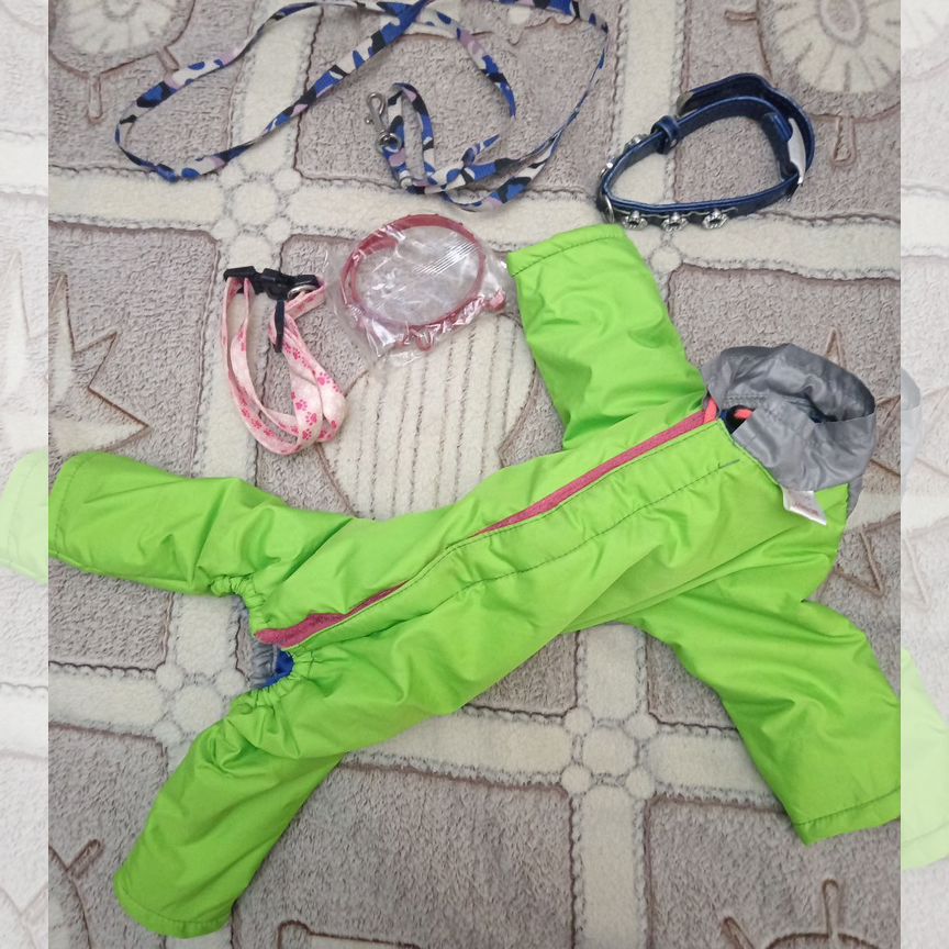 Комбинезон на собачку, ошейник