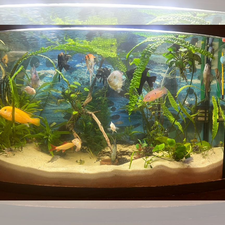 Аквариум с тумбой 120л