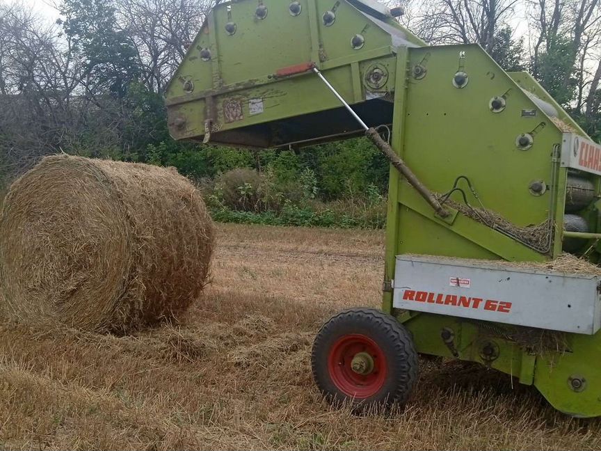 Продам солому пшеничную