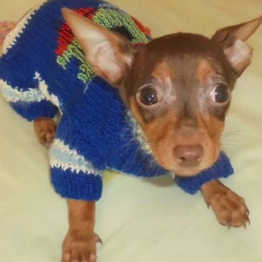 Комбинезоны вязанные авторские, готовые и на заказ