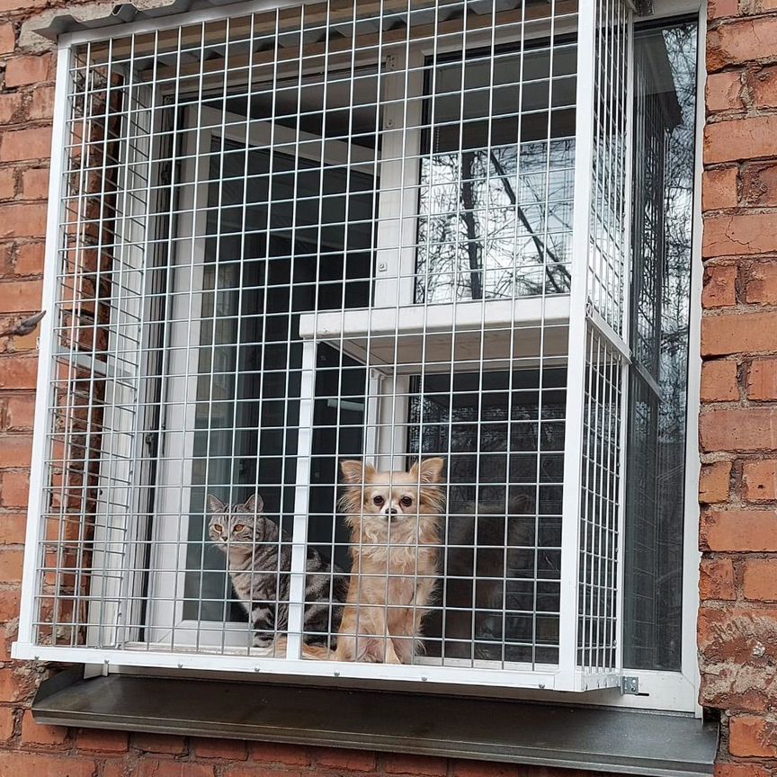 Балкон для кошек на окна, балкон для выгула кошек