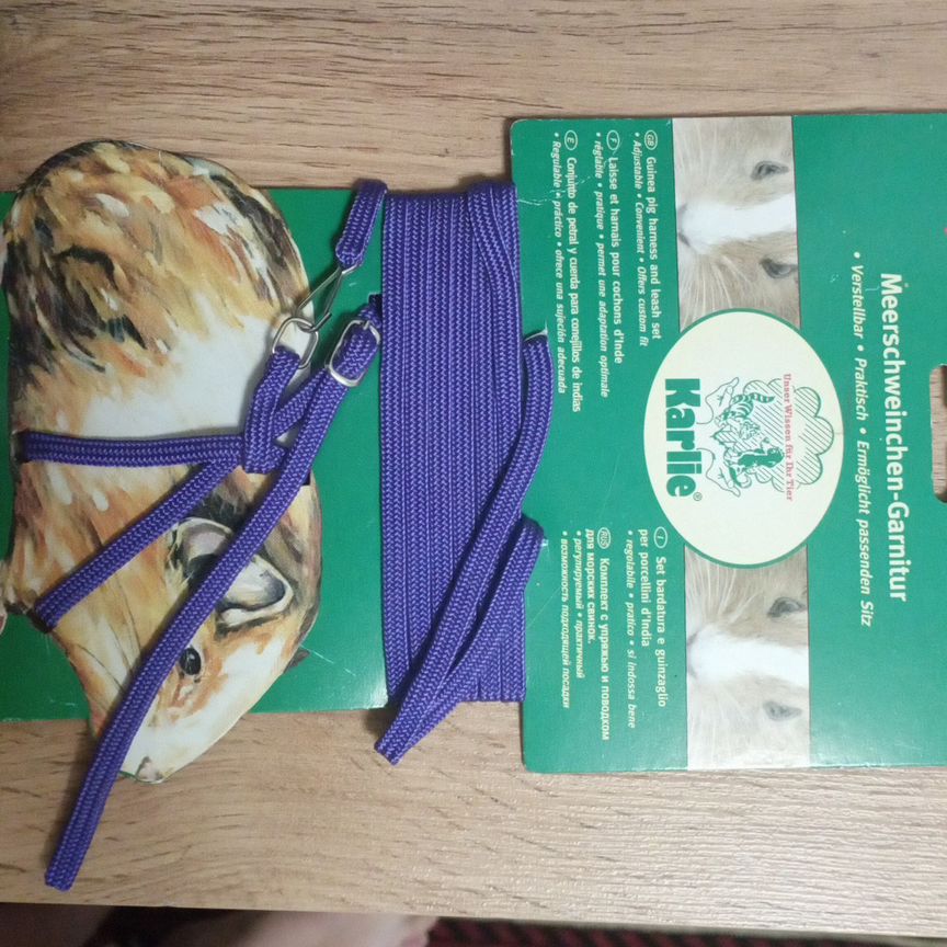 Шлейка для морской свинки