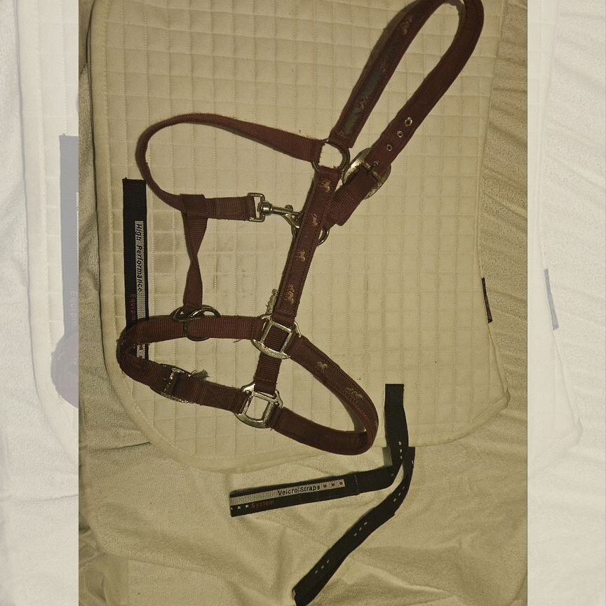 Недоуздок для лошади