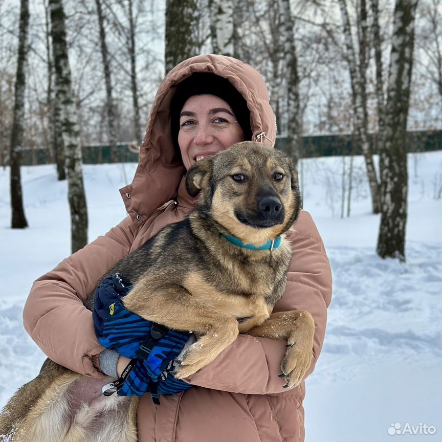 Очаровательный мелкаш Гром пропадает в приюте