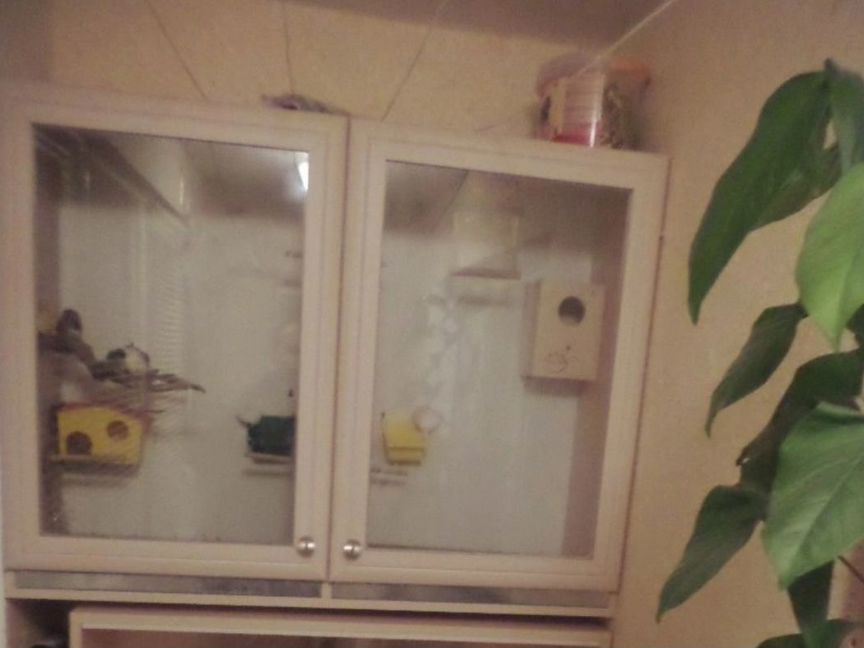 Большая клетка вольер/витрина для птиц