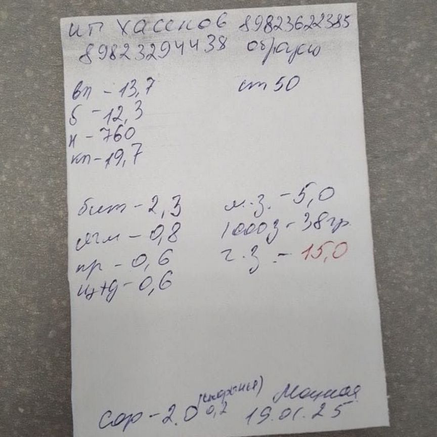 Пшеница твердая