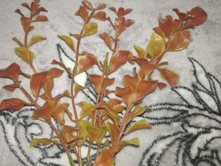 Искусственное растение