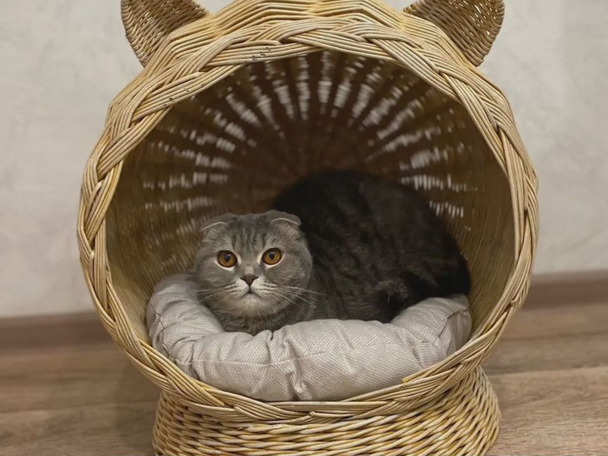 Домик лежанка для кошки или собаки