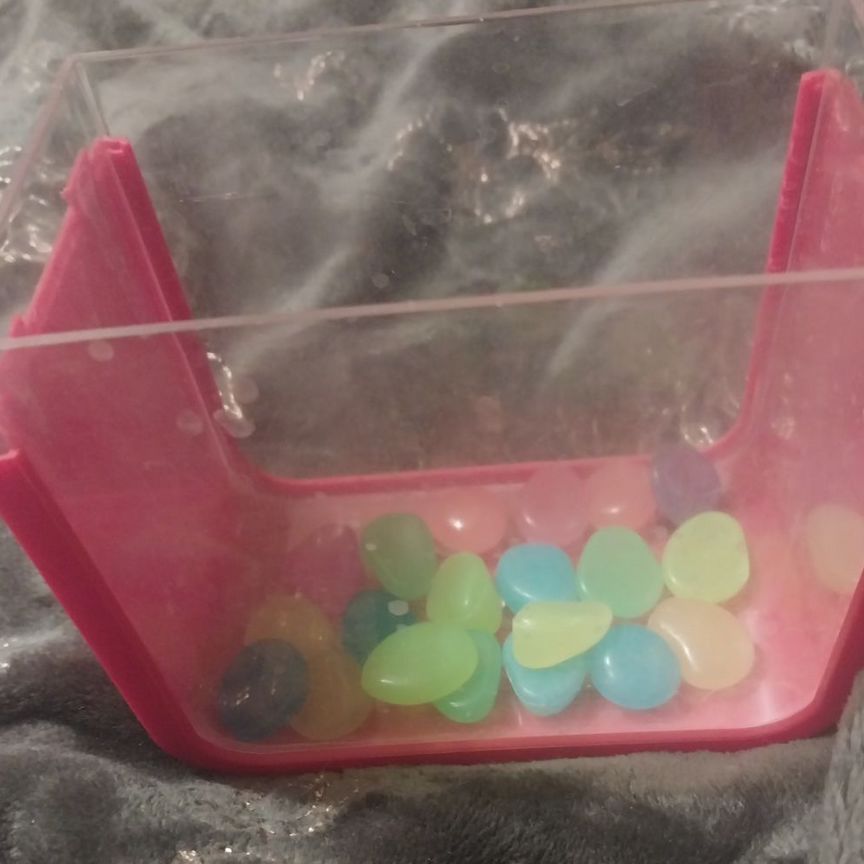 Корм для рыбок, совок для рыбок, аквариум для рыб