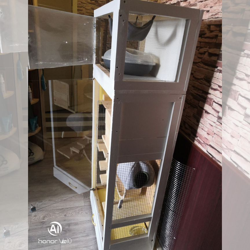 Витрина клетка