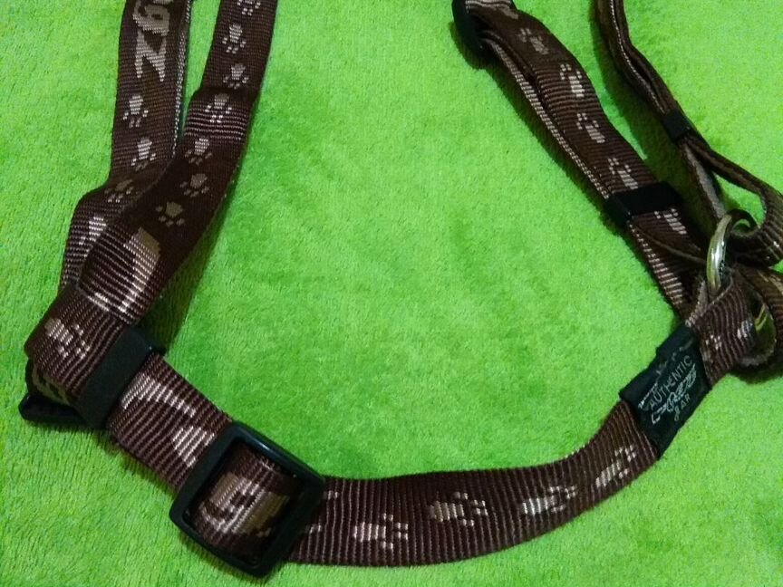 Шлейка для собаки Rogz XL