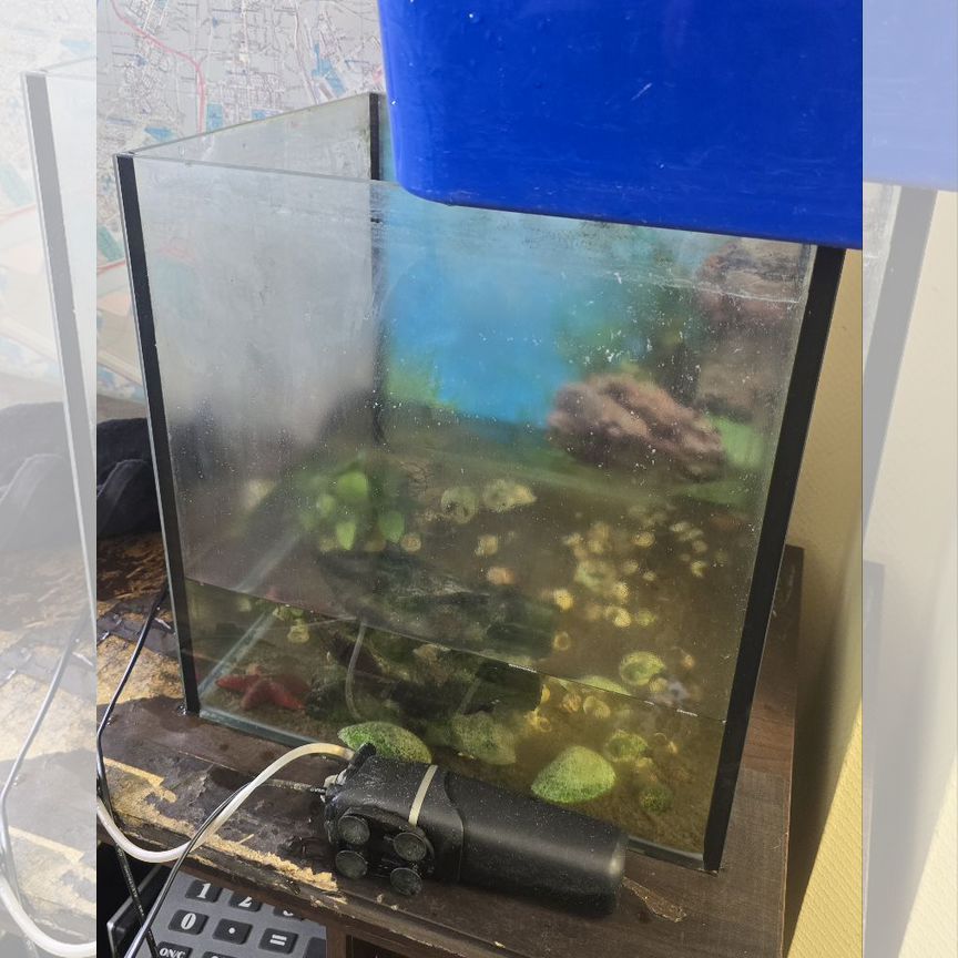 Аквариум с фильтром