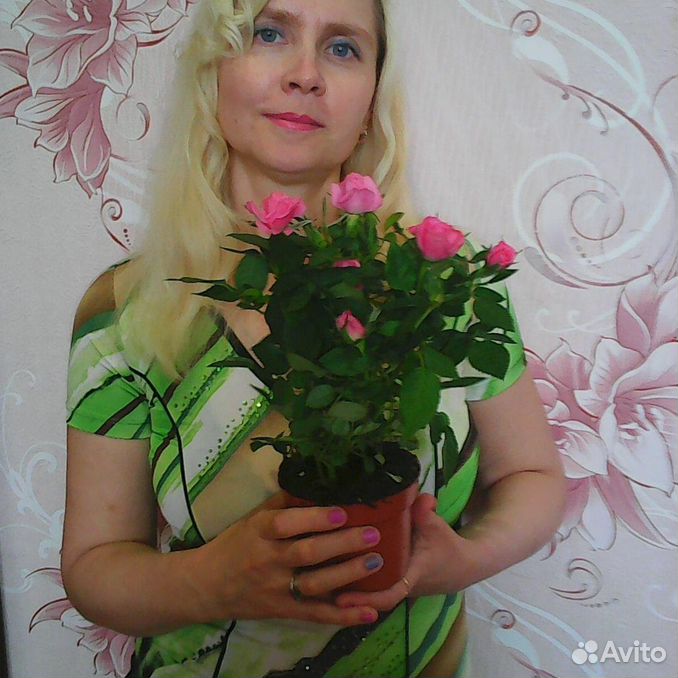 Канал Aлла Каламбур на Дзен и Ютубе