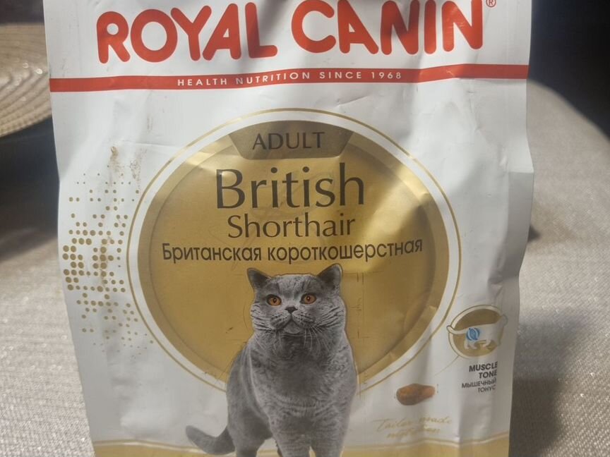 Royal Canin для британских кошек
