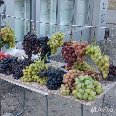 Черенки / чубуки винограда купить в Волгограде | Товары для дома и дачи ...