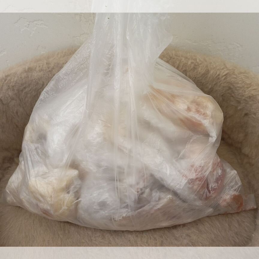 Готовая еда для собак