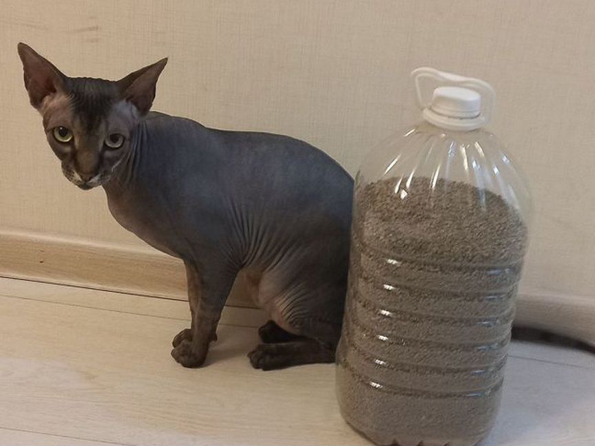 Наполнитель в кошачий лоток