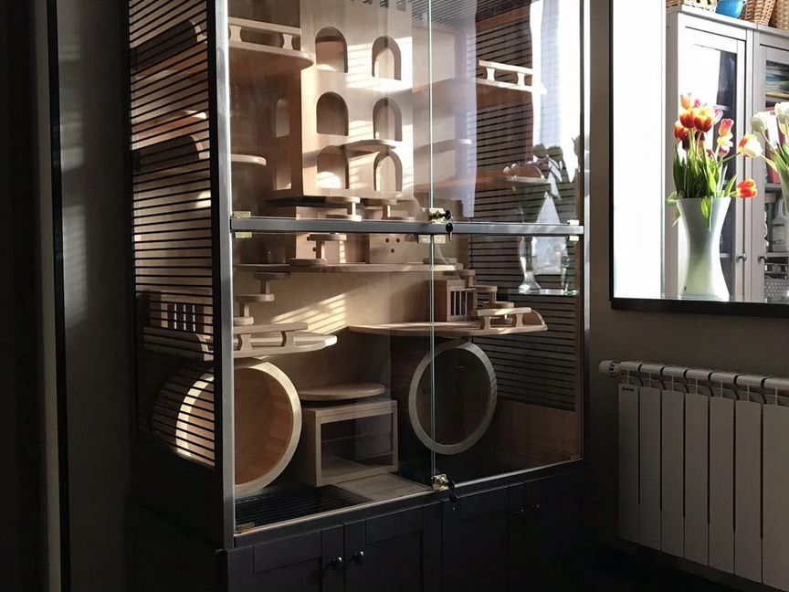 Витрина (клетка) для шиншилл, дегу