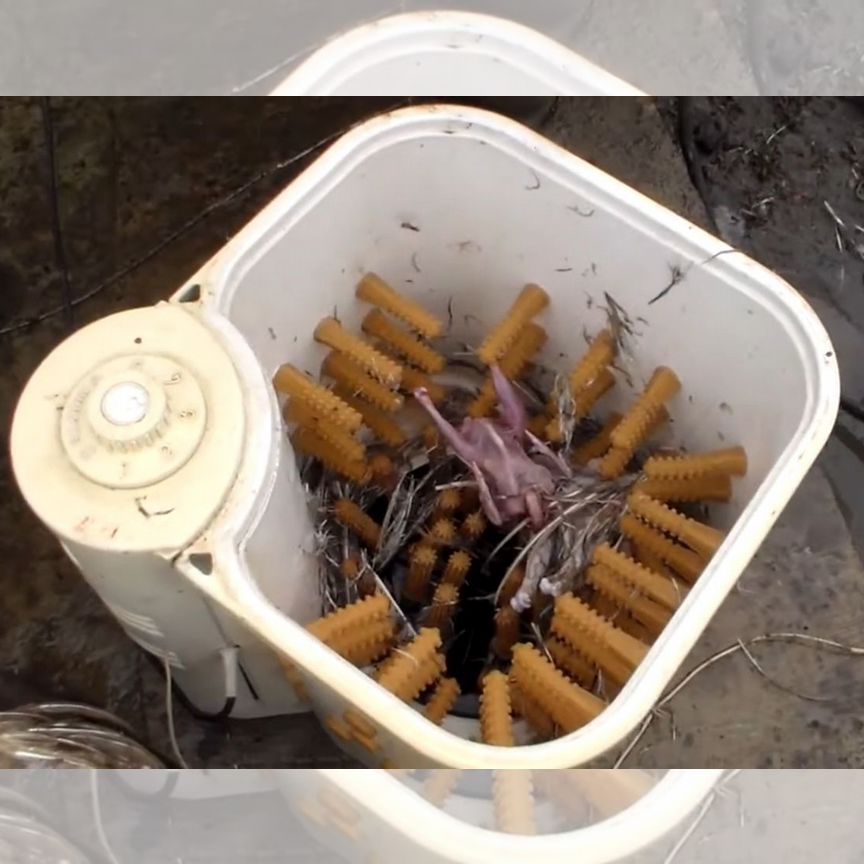 Перосъемная машина