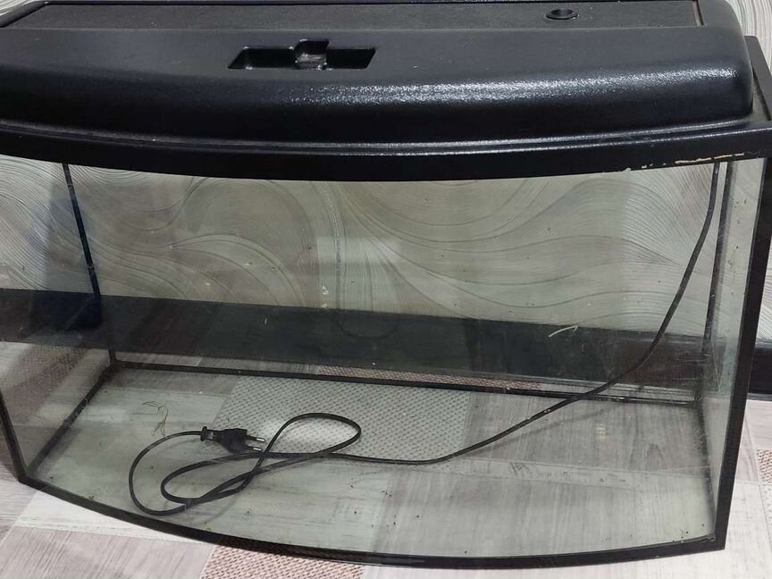 Коралл для аквариума