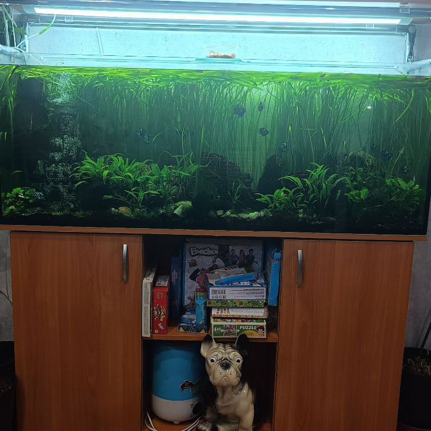 Аквариум с тумбой 180 литров