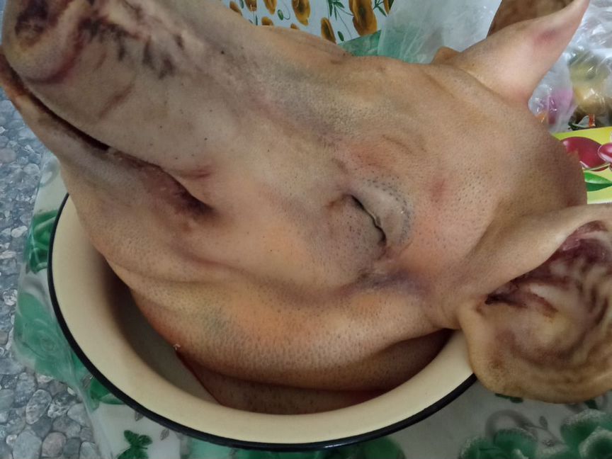 Свиная голова