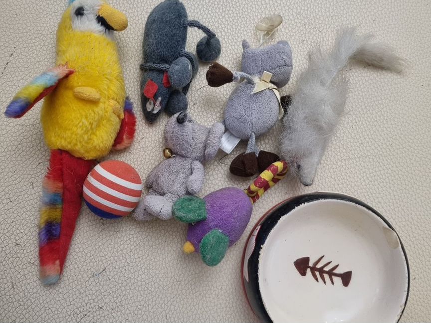Миска, игрушки для кошки и др