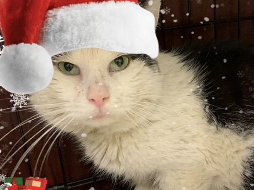 Кузенька ждет