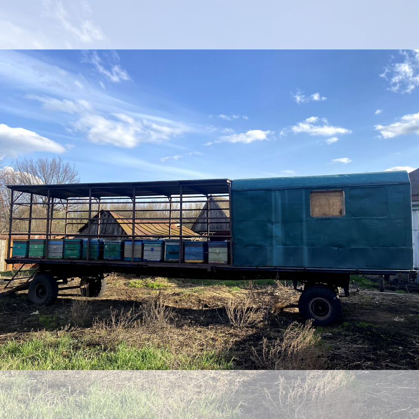 Пчеловодная платформа