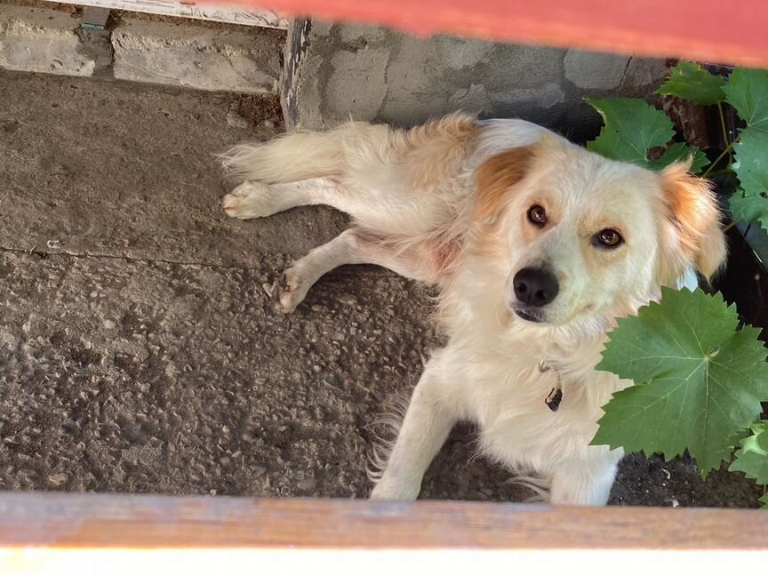 Мальчик по имени Миша 9,5 месяцев