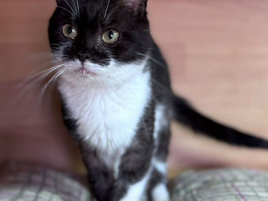 Малышу нужен дом