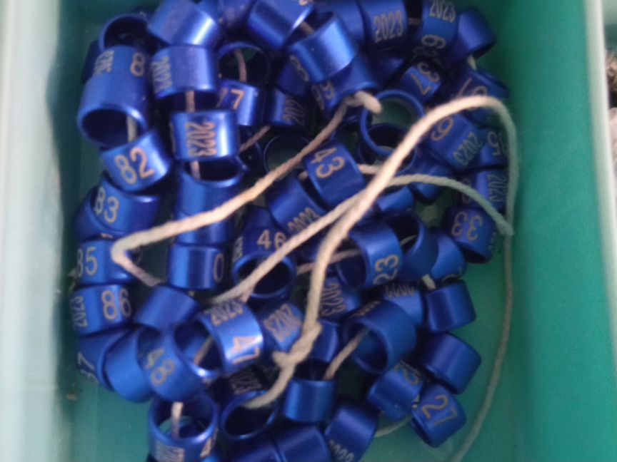 Аксессуары для птиц