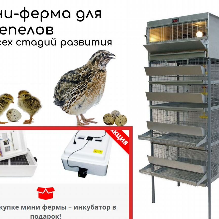 Клетка, брудер и инкубатор для перепелов Челябинск