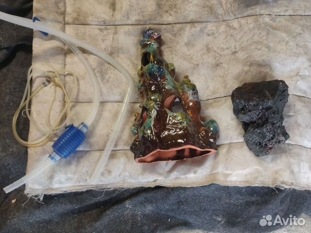 Все для аквариума