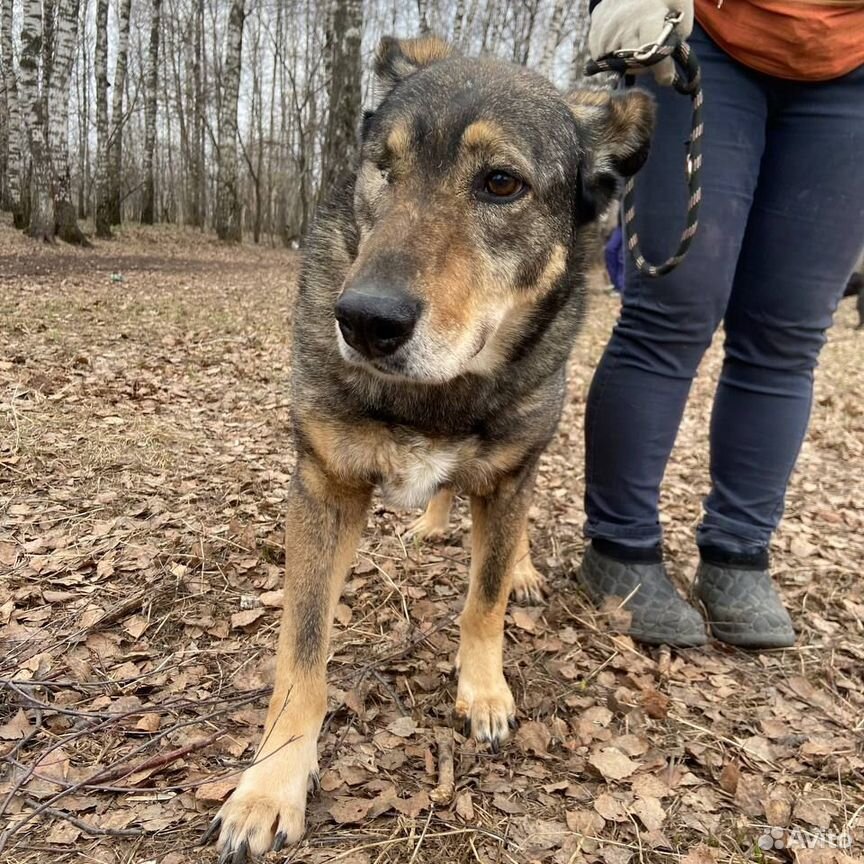 Джессика в самые любящие руки