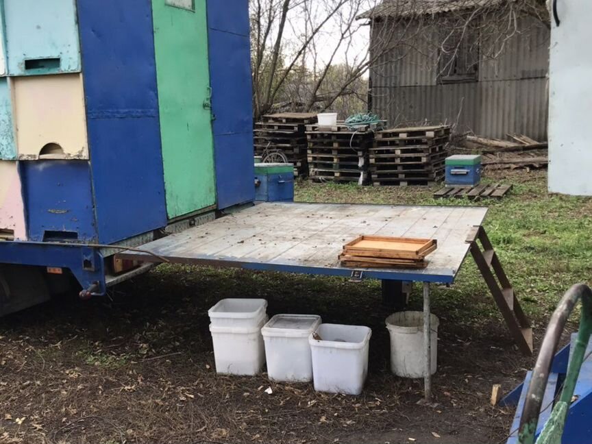 Пчело павильон