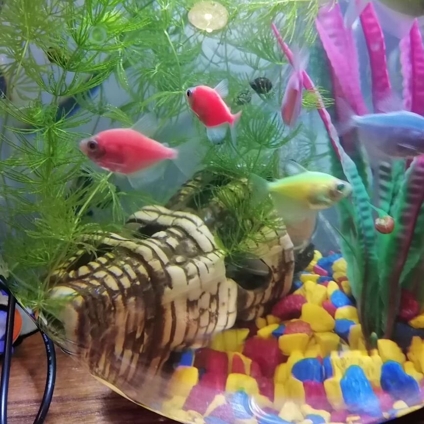 Украшение для аквариума