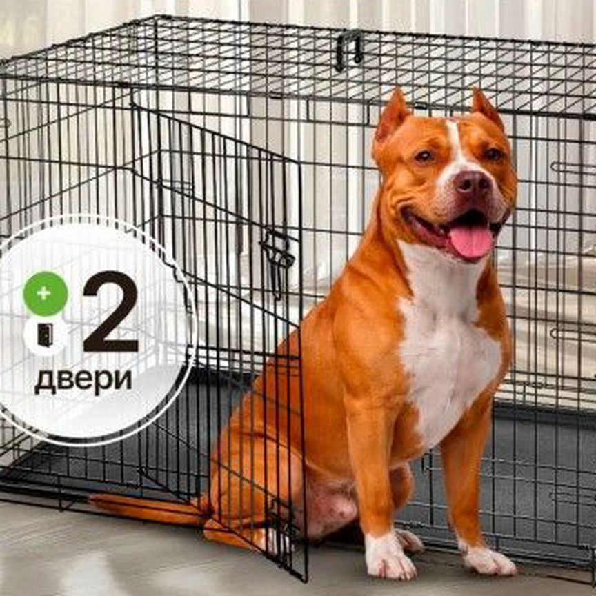 Клетка 4