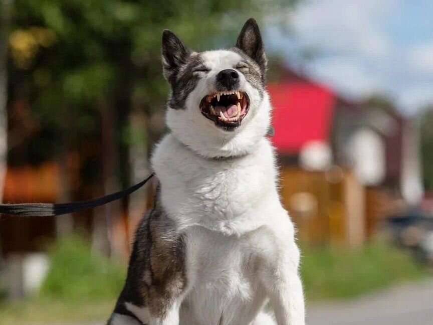 Неимоверно крутой парень в ожидании