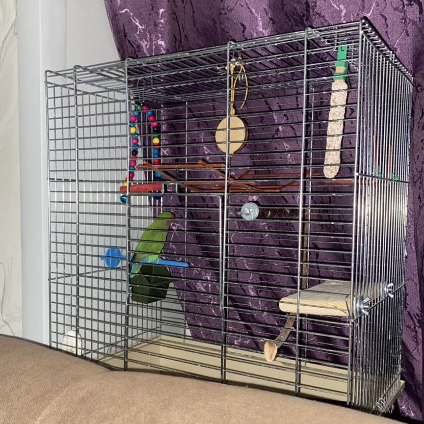 Попугай с клеткой