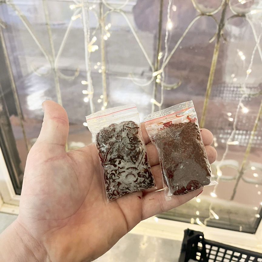 Мотыль замороженный