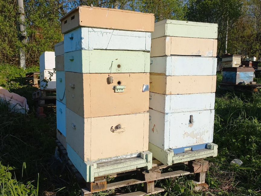 Улей ППУ 12 рамок