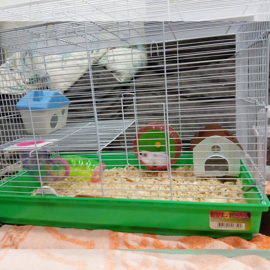 Клетка для хомяка большая