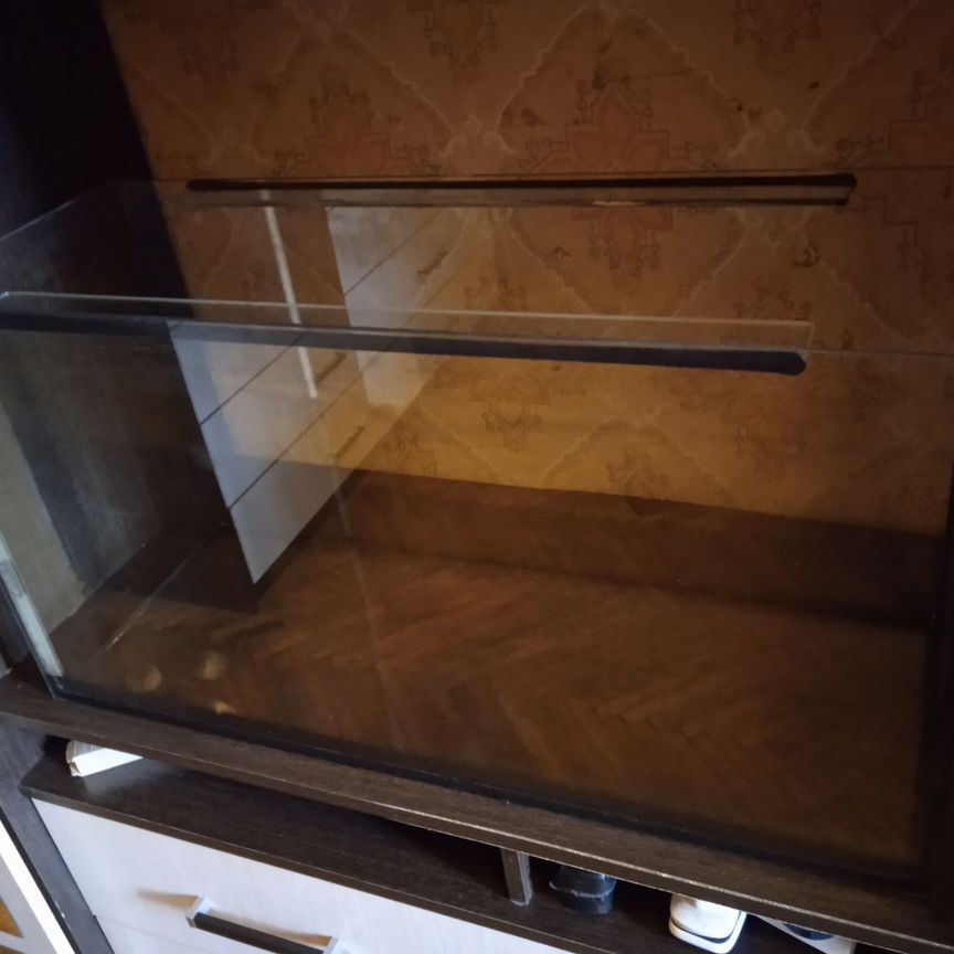 Аквариум на 100 литров