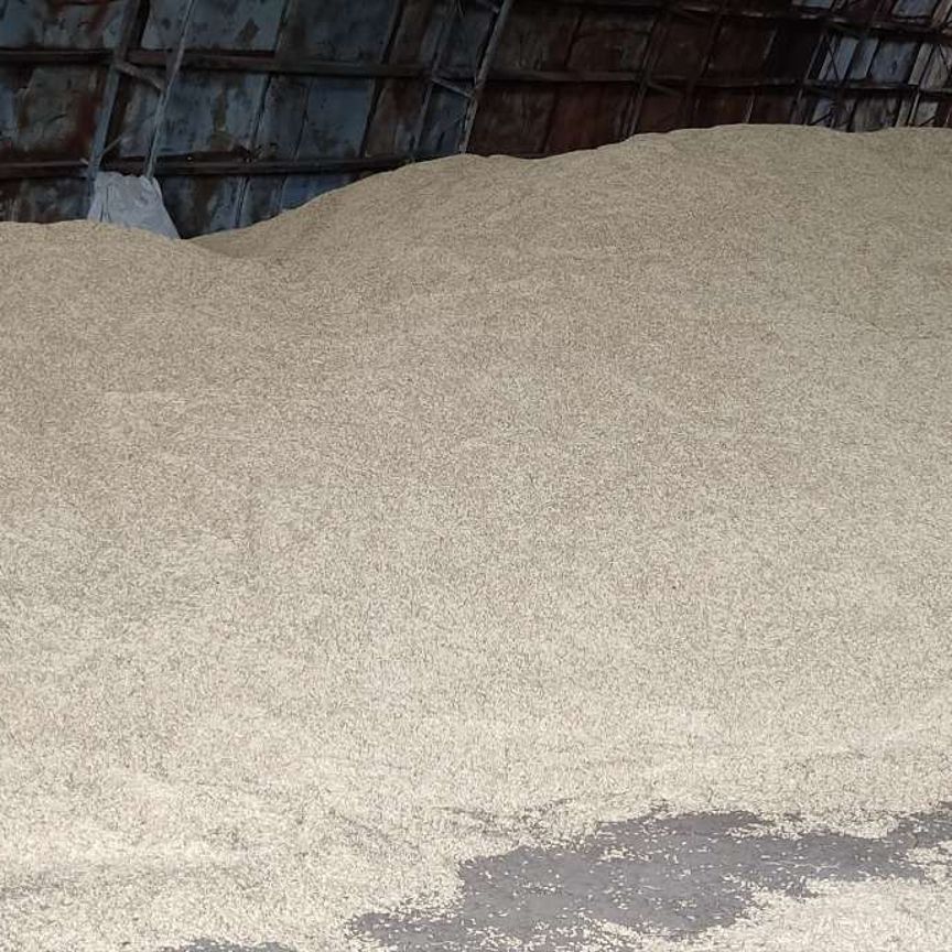 Ячмень Озимый и Яровой