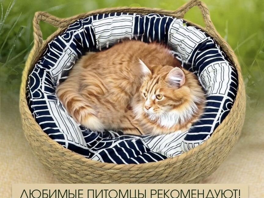 Лежанка для животных с подушкой и валиком