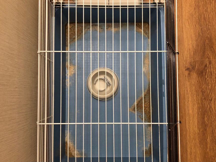 Клетка для морской свинки 74х40 см