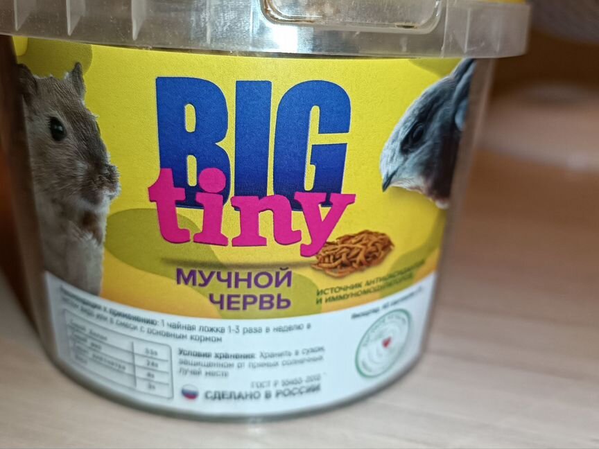 Мучной червь