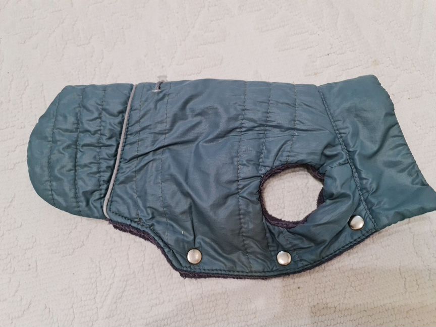 Пальто для маленькой собачки