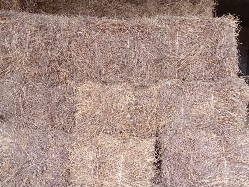 Сено и солома в тюках